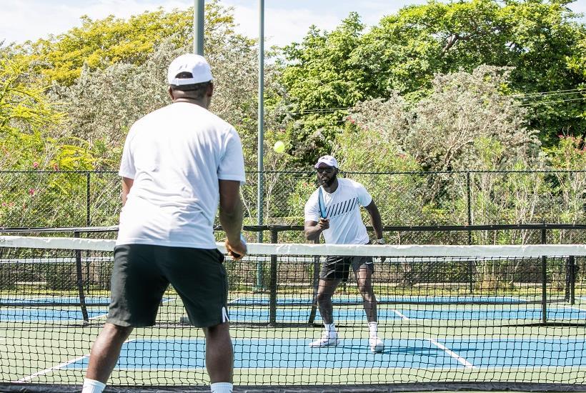 National Pickleball Day